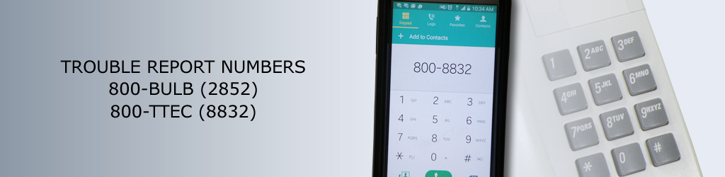 Trinidad and Tobago Electricity Commission – The Power to make it work