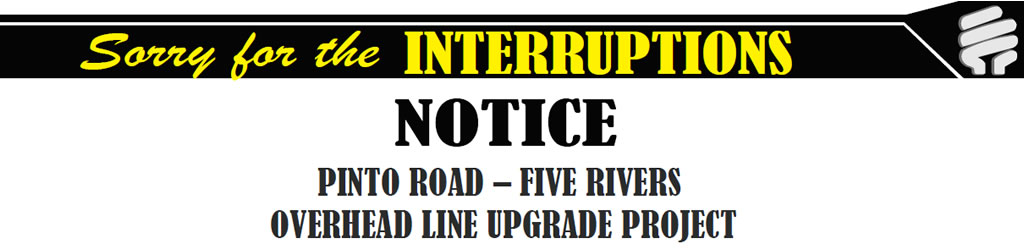 Trinidad and Tobago Electricity Commission – The Power to make it work