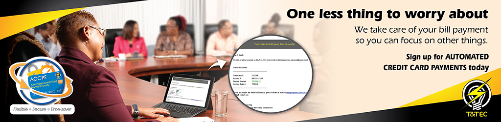 Trinidad and Tobago Electricity Commission – The Power to make it work